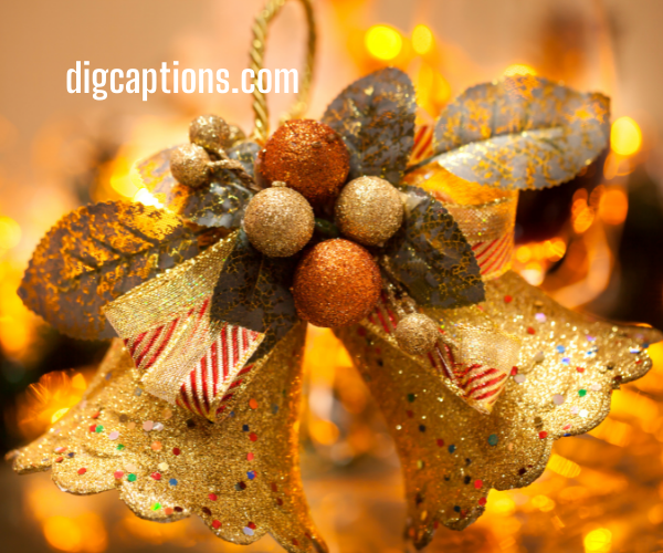 Wedding Bell Decorations Quotes and Captions for Instagram