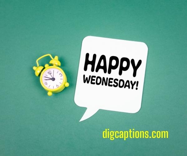Cheers to Wednesday Captions and Quotes for Instagram