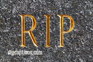 Rip Captions for Instagram With Quotes